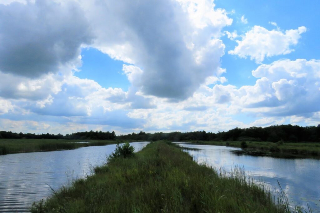 De Levende Natuur - Nummer 06 2022