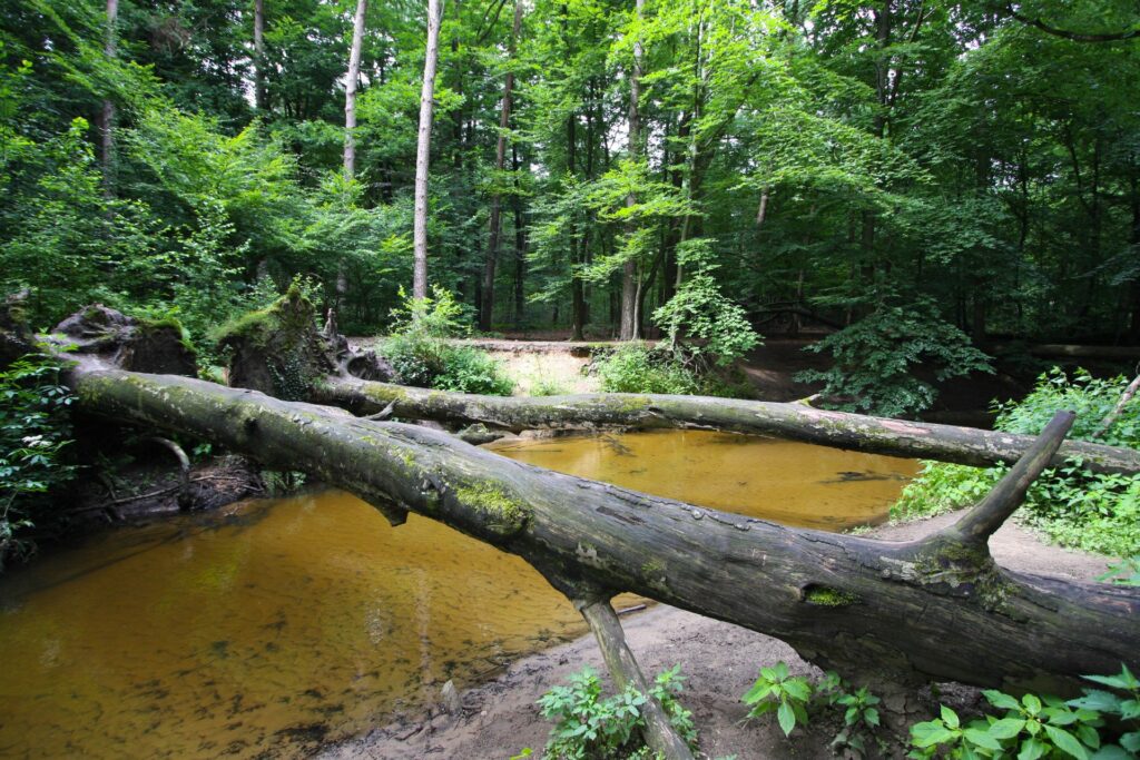 De Levende Natuur - Nummer 01 2023