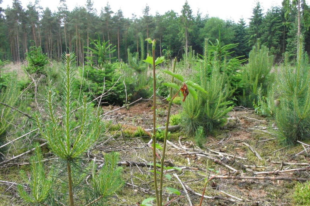 De Levende Natuur - Nummer 02 2023