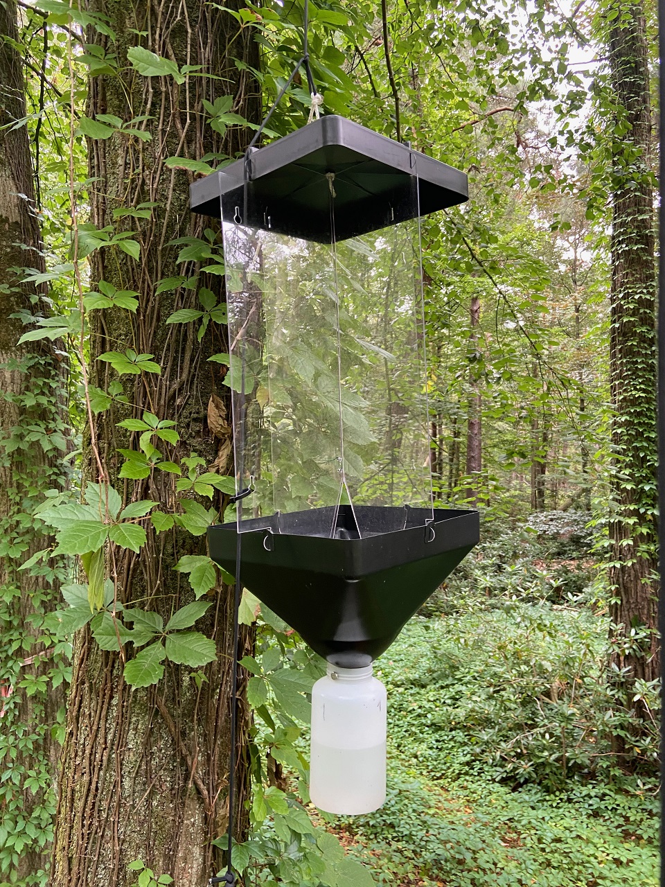 De Levende Natuur - Nummer 02 2023